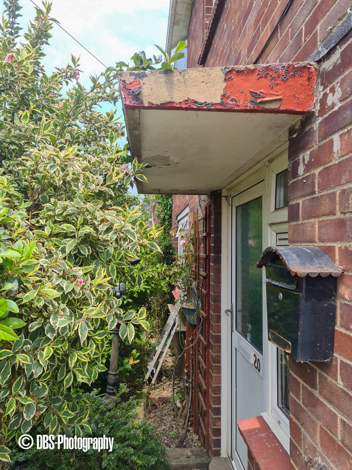 Getting it right on the Canopies – DBS-Projects Ltd.